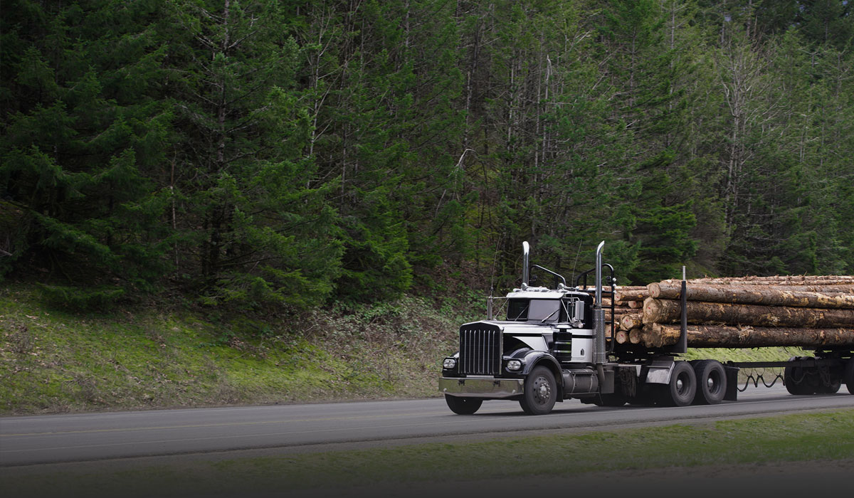 Services - Straight Line Transport - Flatbed and Van Freight